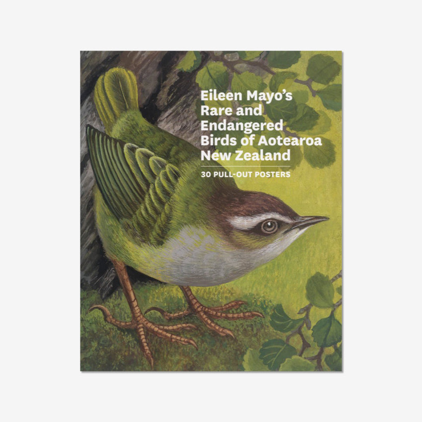 Eileen Mayo's Rare and Endangered Birds of Aotearoa – Wonder Room