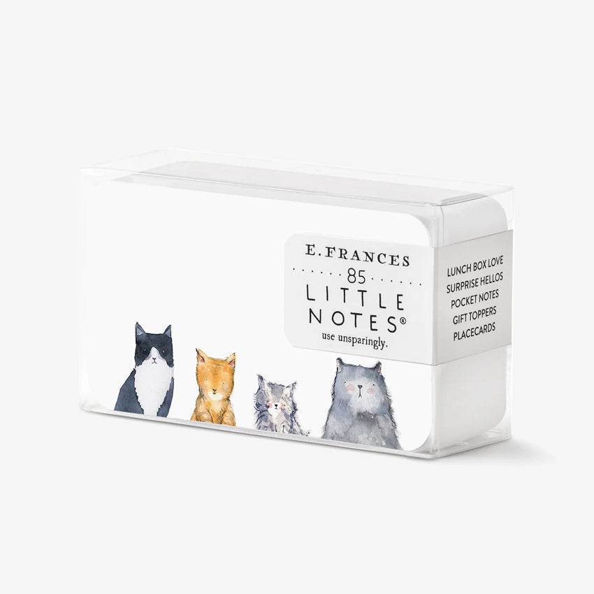 E.Frances Little Notes | Wonder Room