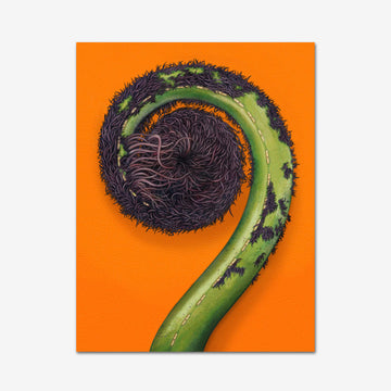 Lester Hall | Art Prints NZ | Wonder Room