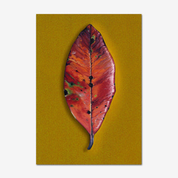 Lester Hall | Art Prints NZ | Wonder Room