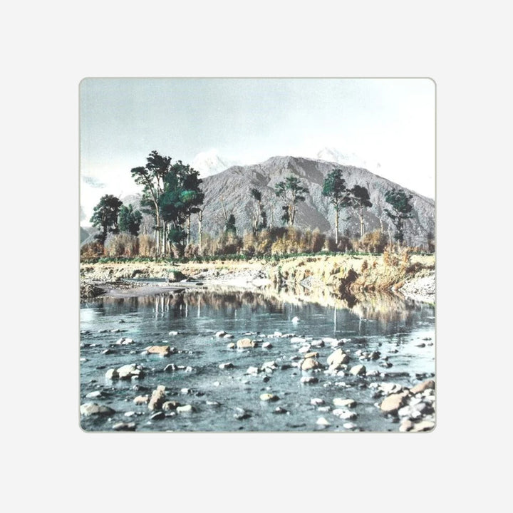 Te Papa Store | NZ Gifts + Homeware | Wonder Room